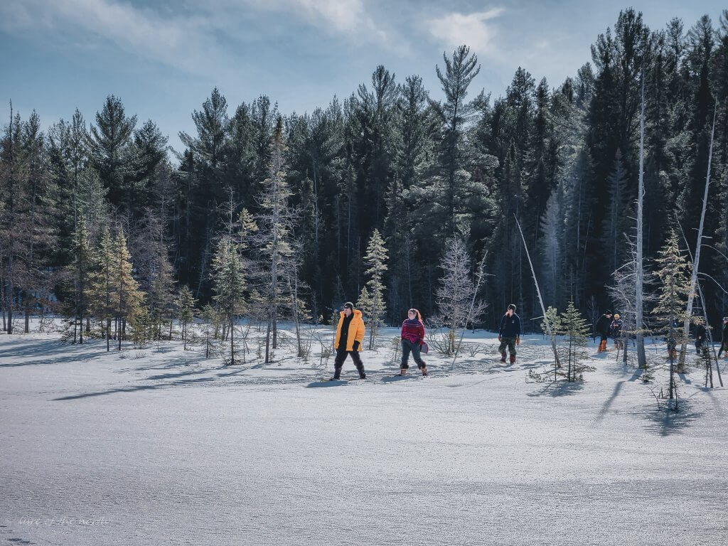 Winter Wonderland- A Slow and Steady Expedition - Lure of the North