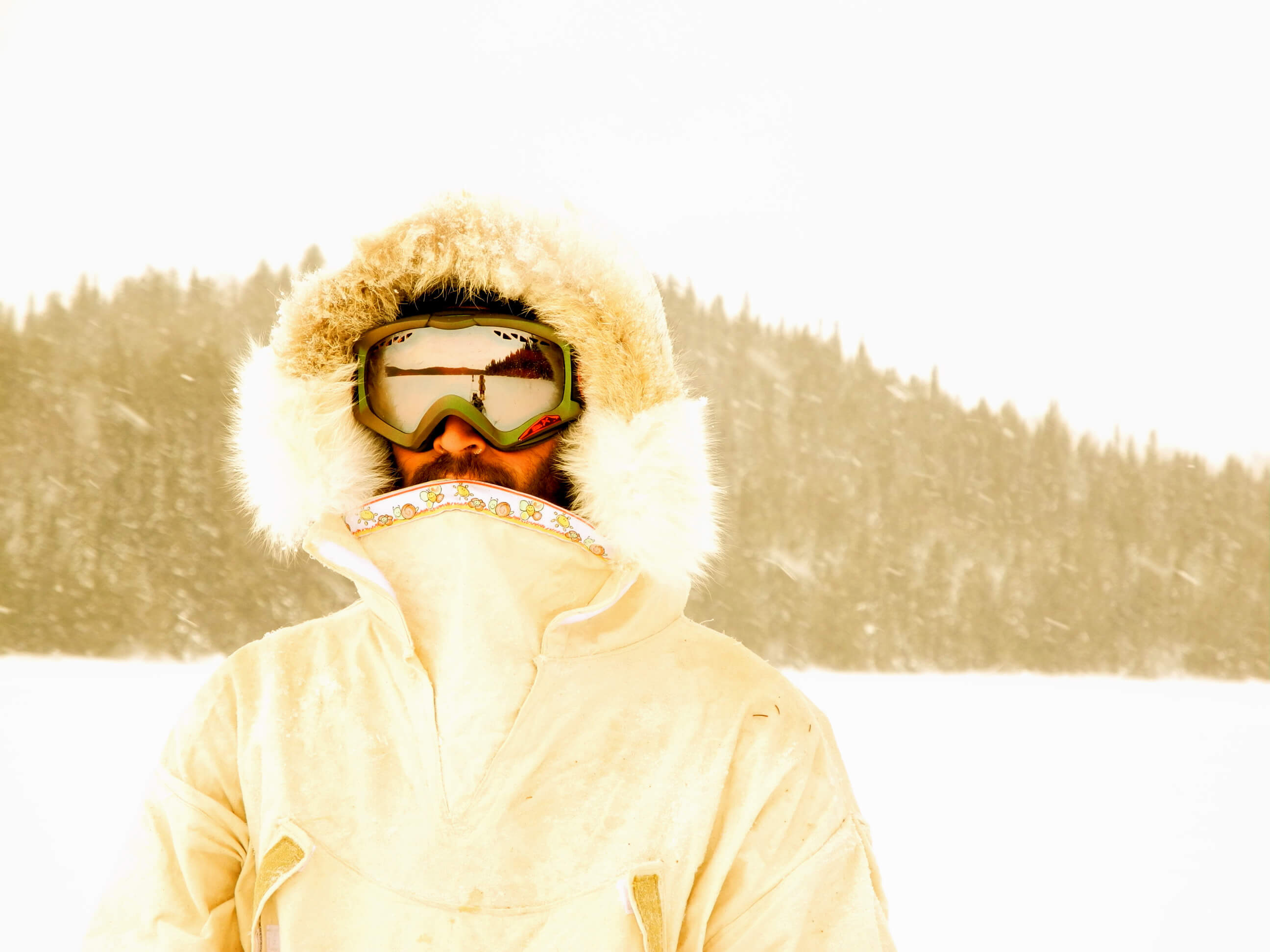 Presenting: Snowwalkers! - Lure of the North