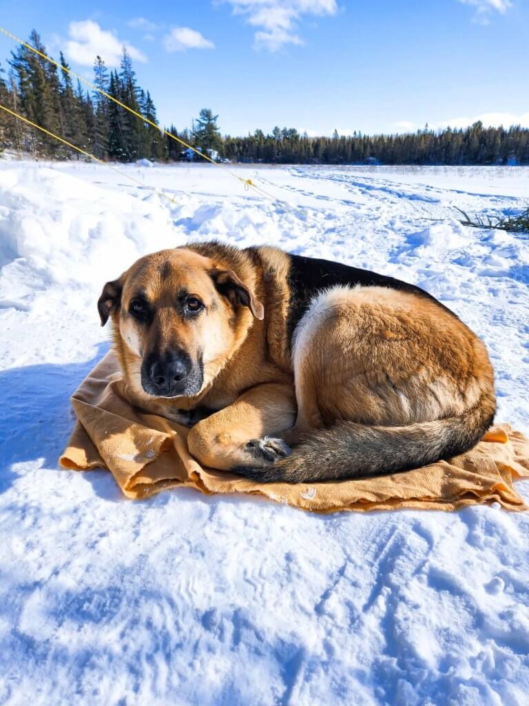 2025 Winter Wonderland: A Slow and Steady Snowshoe Expedition