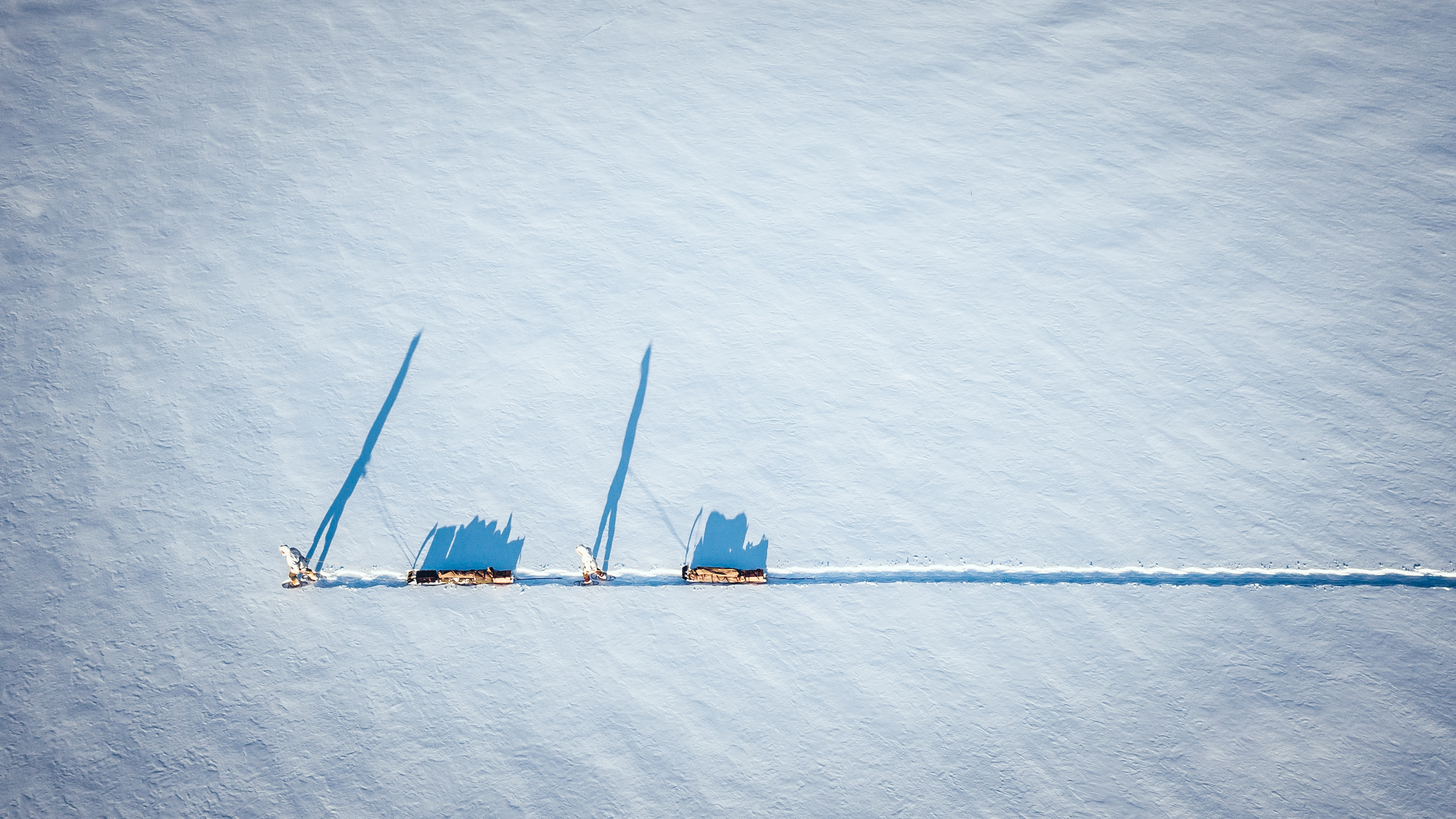 And We're Off! - Lure of the North